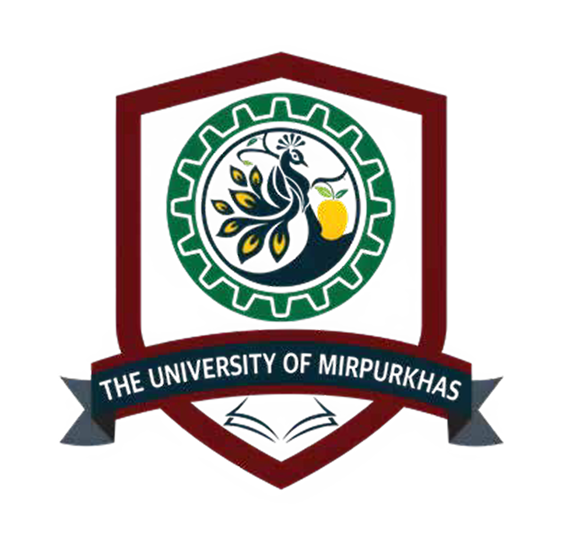 The University Of Mirpurkhas